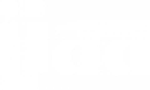 Profile - International Institute for Active Ageing